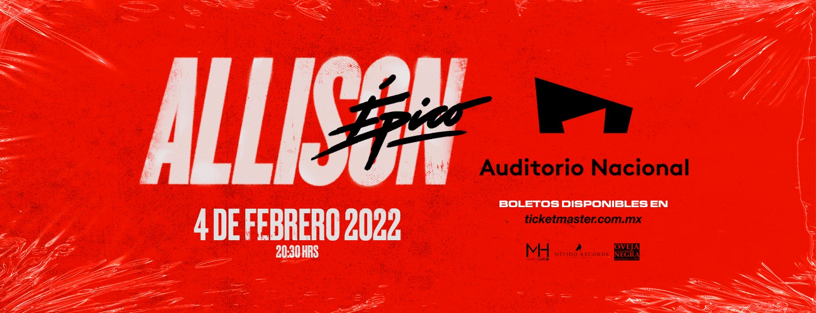 Allison - Épico concierto en el Auditorio Nacional - Nacion Grita